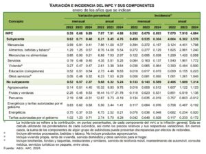 Índice Nacional de Precios al Consumidor (INPC, Enero 2024) - Colegio de Economistas de ...